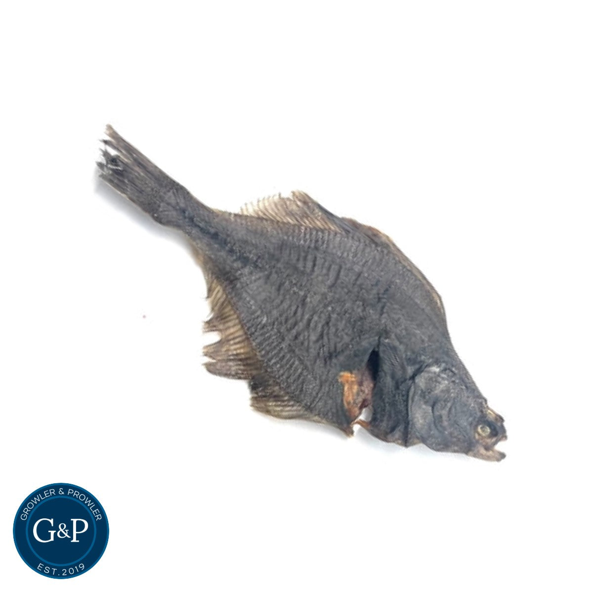 Whole Plaice Fish Dog Treat | Natural Dog Fish Treat | Pet Shop ...